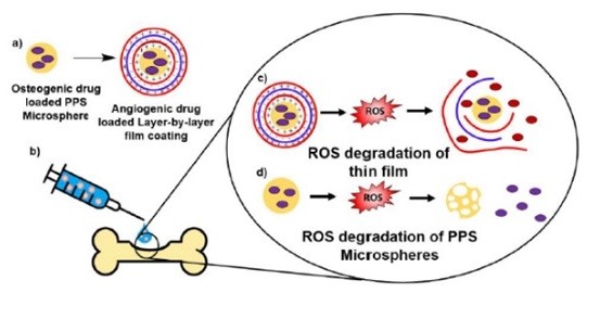Injectable, Drug-coated Microparticles for Regenerating Bone Tissue ...
